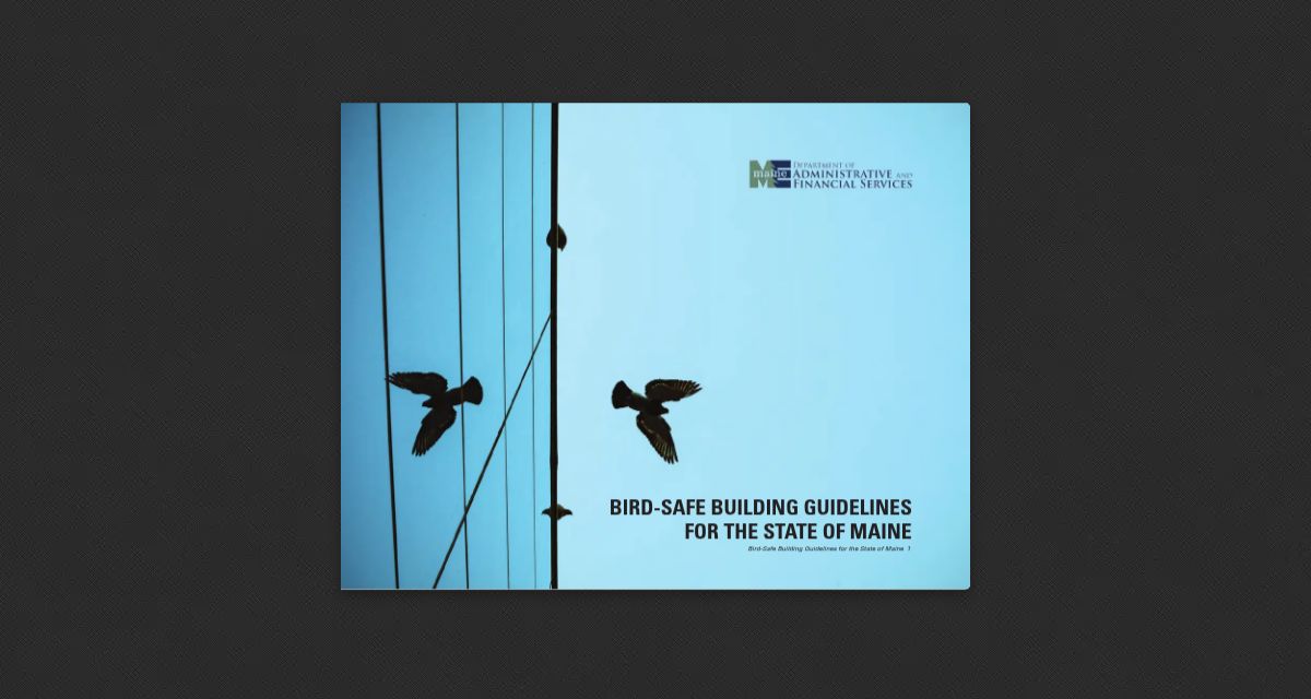 Bird Safe Building Guidelines for the State of Maine